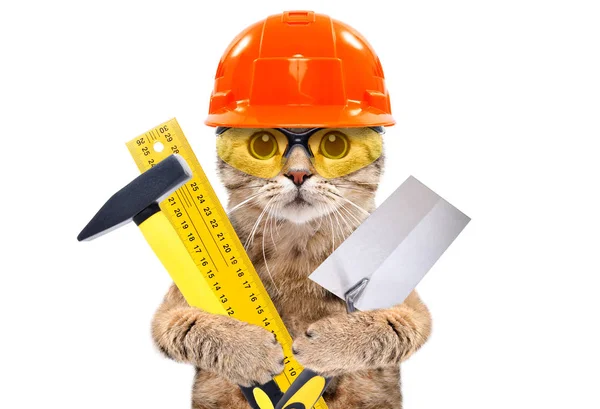 Handyman cat Stock Photos, Royalty Free Handyman cat Images | Depositphotos