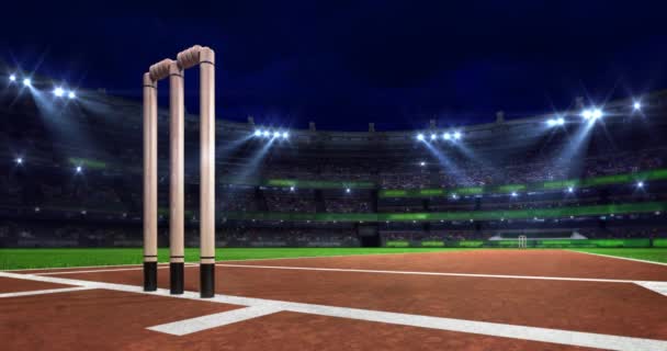 Cricket Playground Background