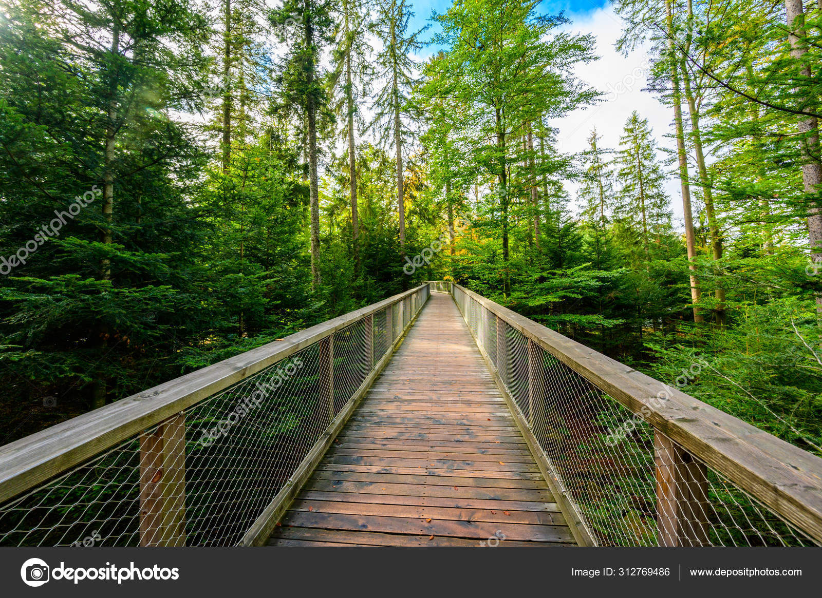 Treetop Walk Black Forest 40M High Lookout Tower Located Sommerberg ...