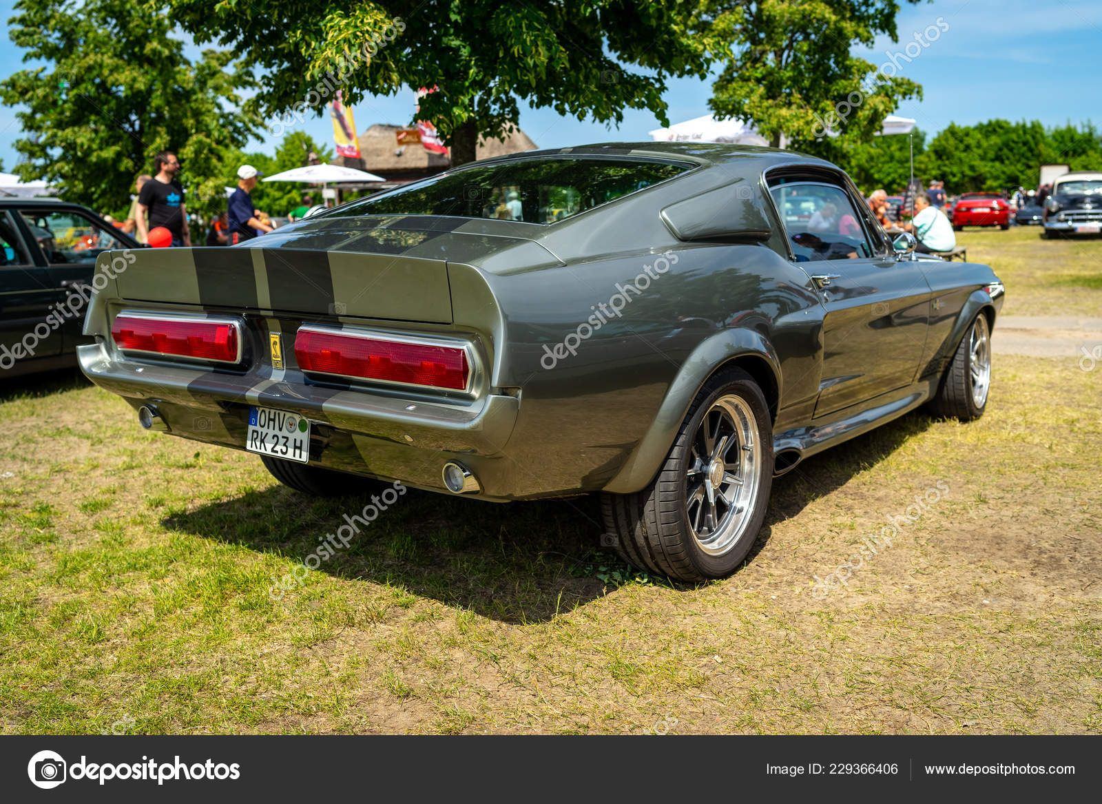 Shelby Mustang Rear View