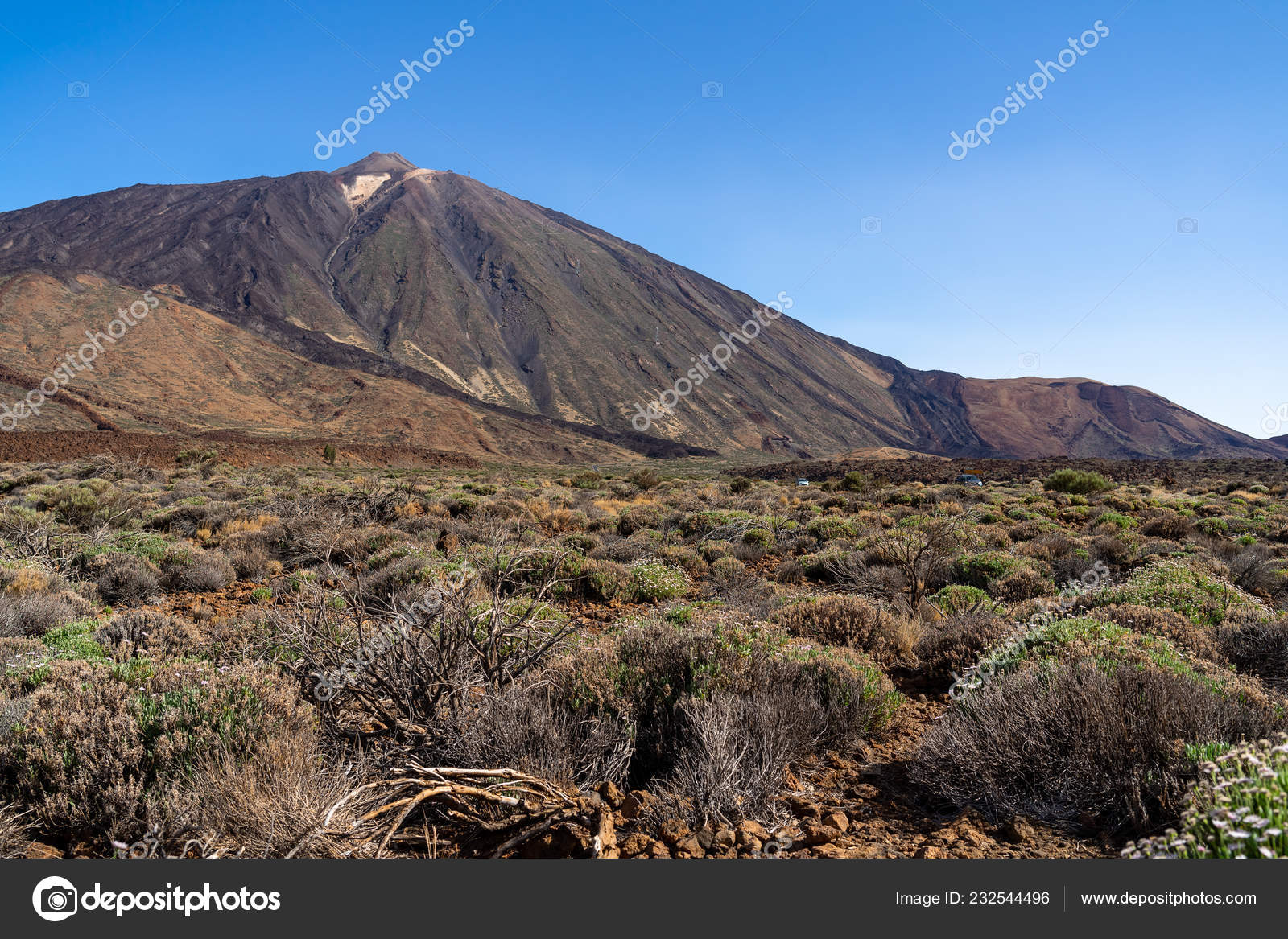 Lava Fields Las Canadas Caldera Teide Volcano Background Tenerife ...
