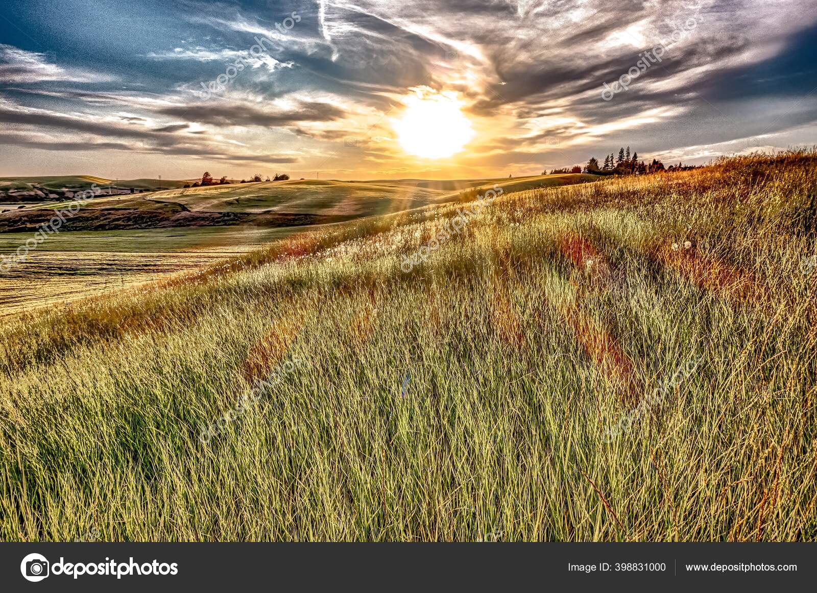 Magical Wheat Farm Fields Palouse Washington — Stock Photo © digidream ...
