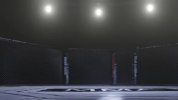 Empty Ufc Octagon