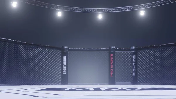 Empty Ufc Octagon