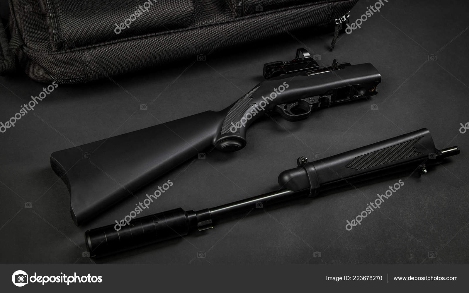 Disassembled Black Rifle 22Lr Collimator Sight Silencer Black ...