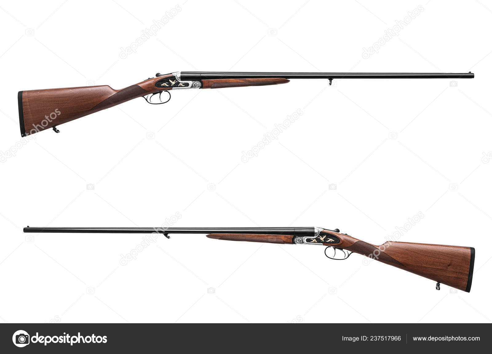 Classic Double Barrell Smooth Bore Hunting Rifle Isolated White ...