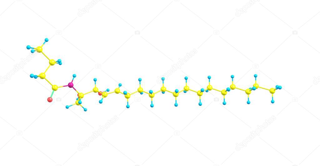 Las ceramidas son una familia de moléculas lipídicas cerosas. Una ...