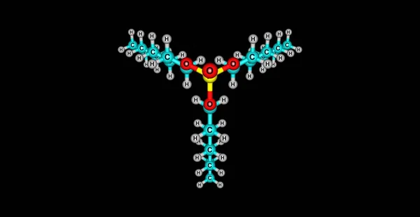 Sistema nervioso de las planarias Stock Photos, Royalty Free Sistema ...