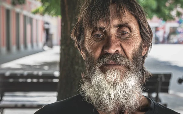 Homeless Man With Beard