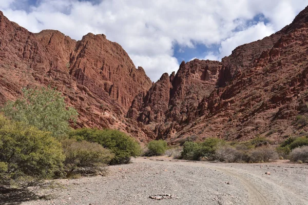 Stunning Desert Landscapes Canyon Del Inca Quebrada Palmira Tupiza ...