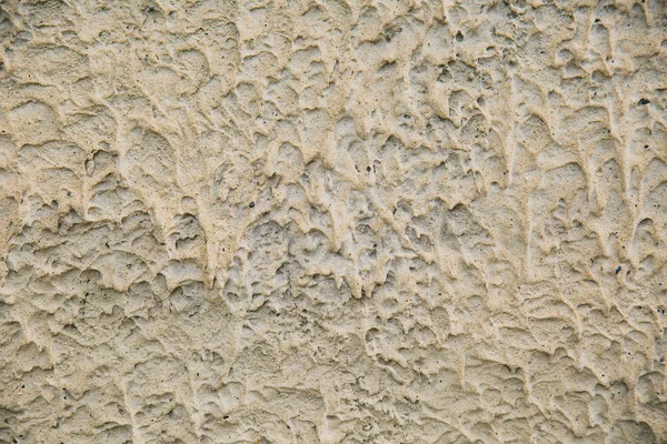 Mold texture Stock Photos, Royalty Free Mold texture Images | Depositphotos