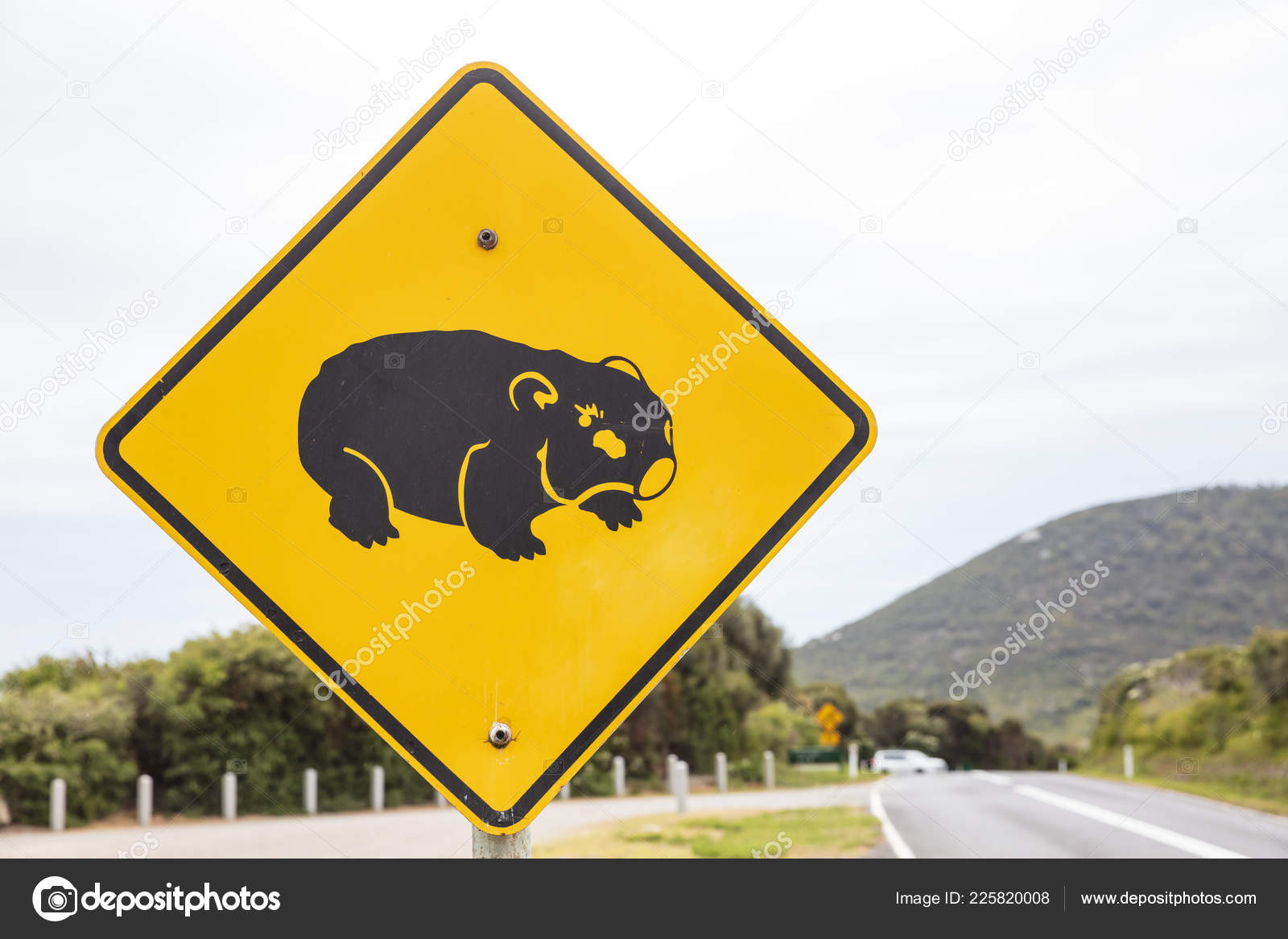 Wombat Warning Sign Motorists Wilsons Promontory Natiomnal Park ...