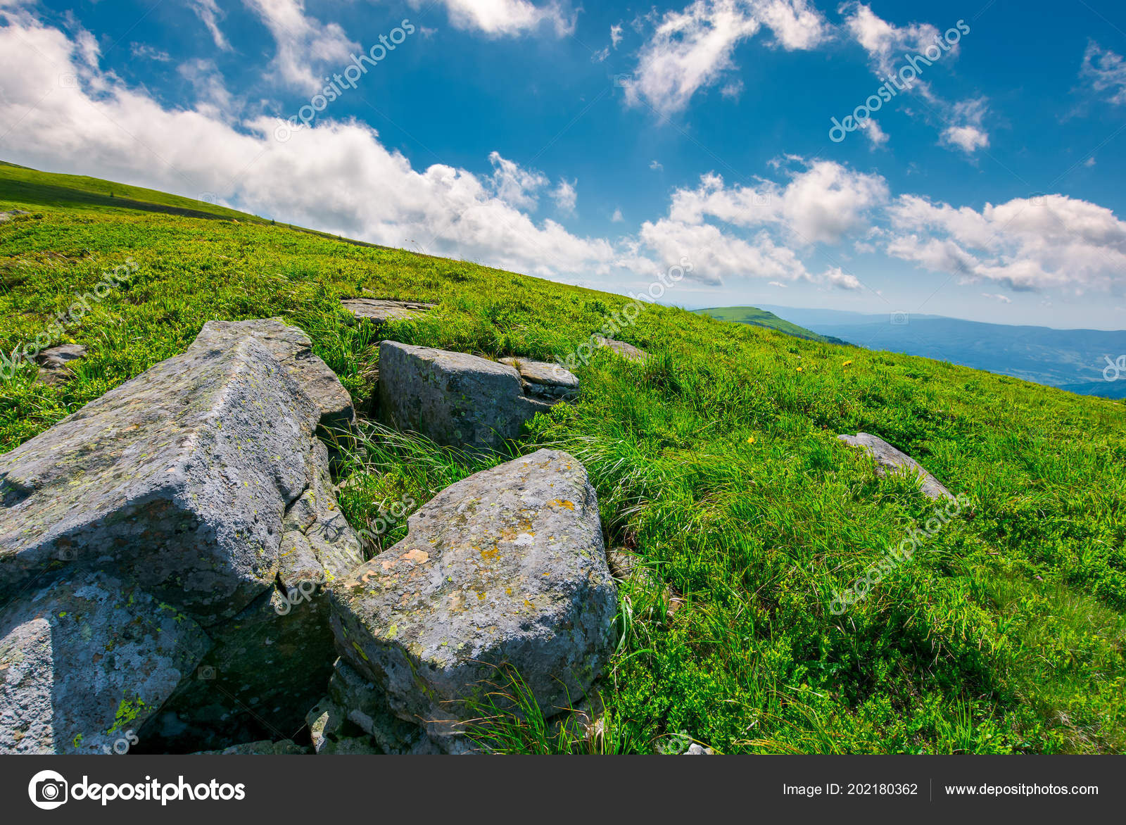 Rocky Grassy Landscape