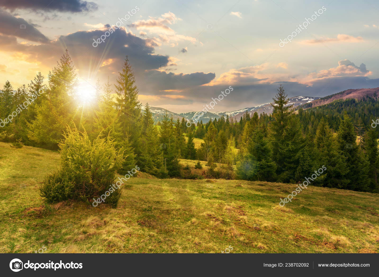 Grassy Hillside Sunset