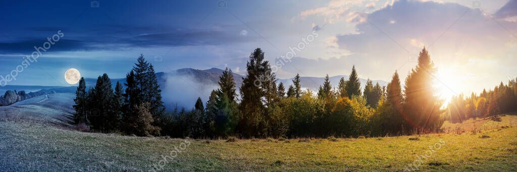 Majadito Stock Photos, Royalty Free Majadito Images | Depositphotos