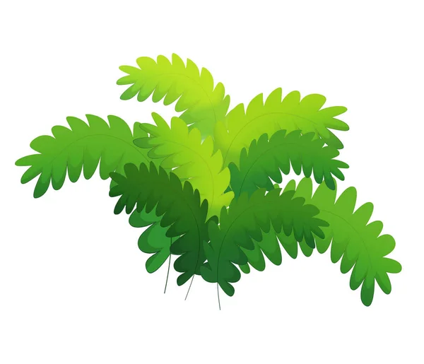 Cartoon nature element bush fern on white background illustration for ...