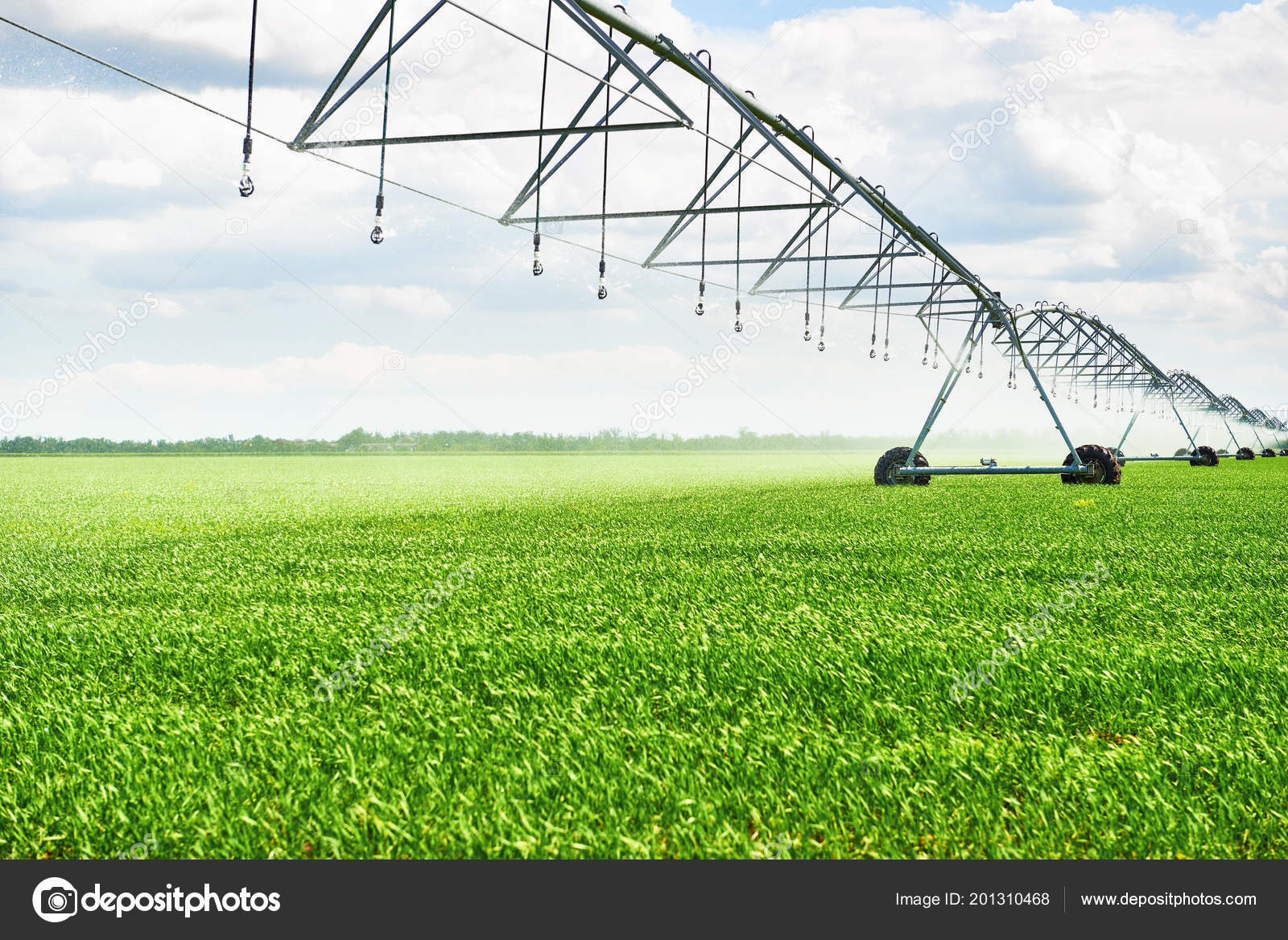 Irrigation Machine Watering Agricultural Field Young Sprouts Green ...