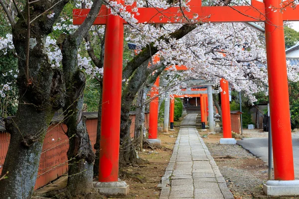 Kitsune Pictures, Kitsune Stock Photos & Images | Depositphotos®