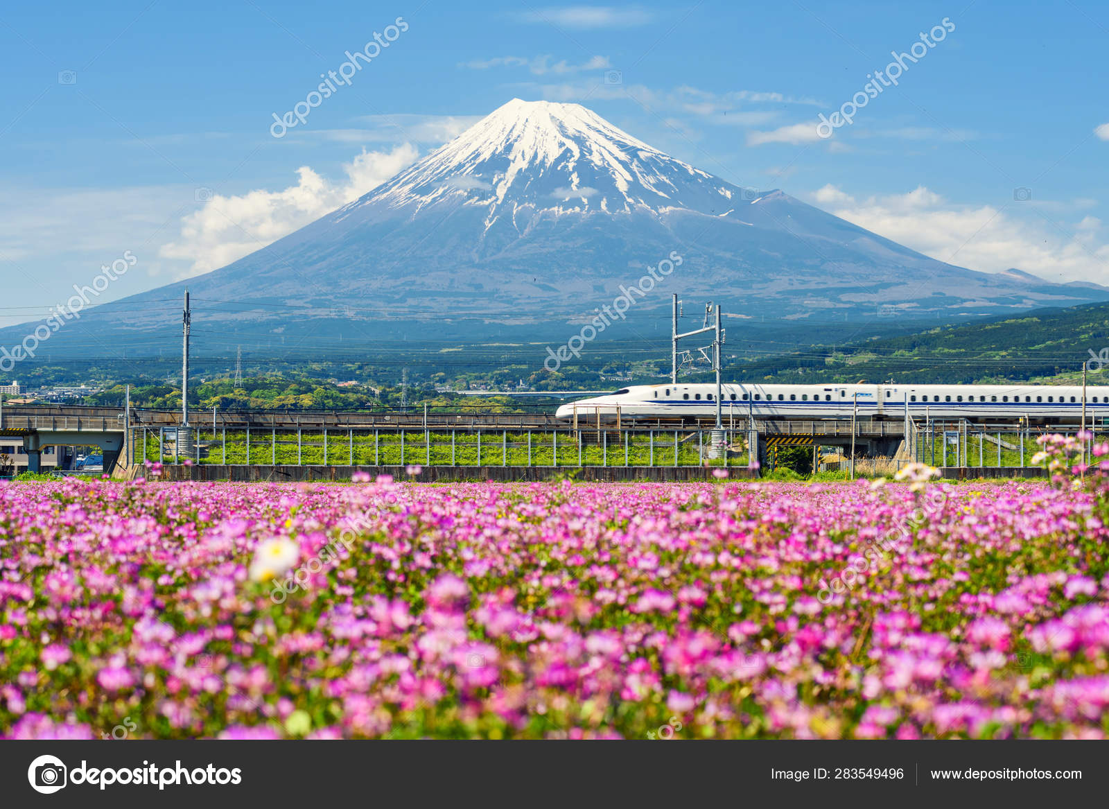 Shinkansen bullet train at Mountain Fuji – Stock Editorial Photo © blanscape #283549496