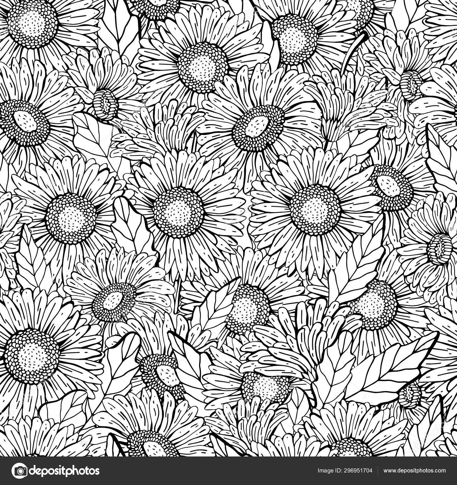 Gerber Daisy Coloring Pages
