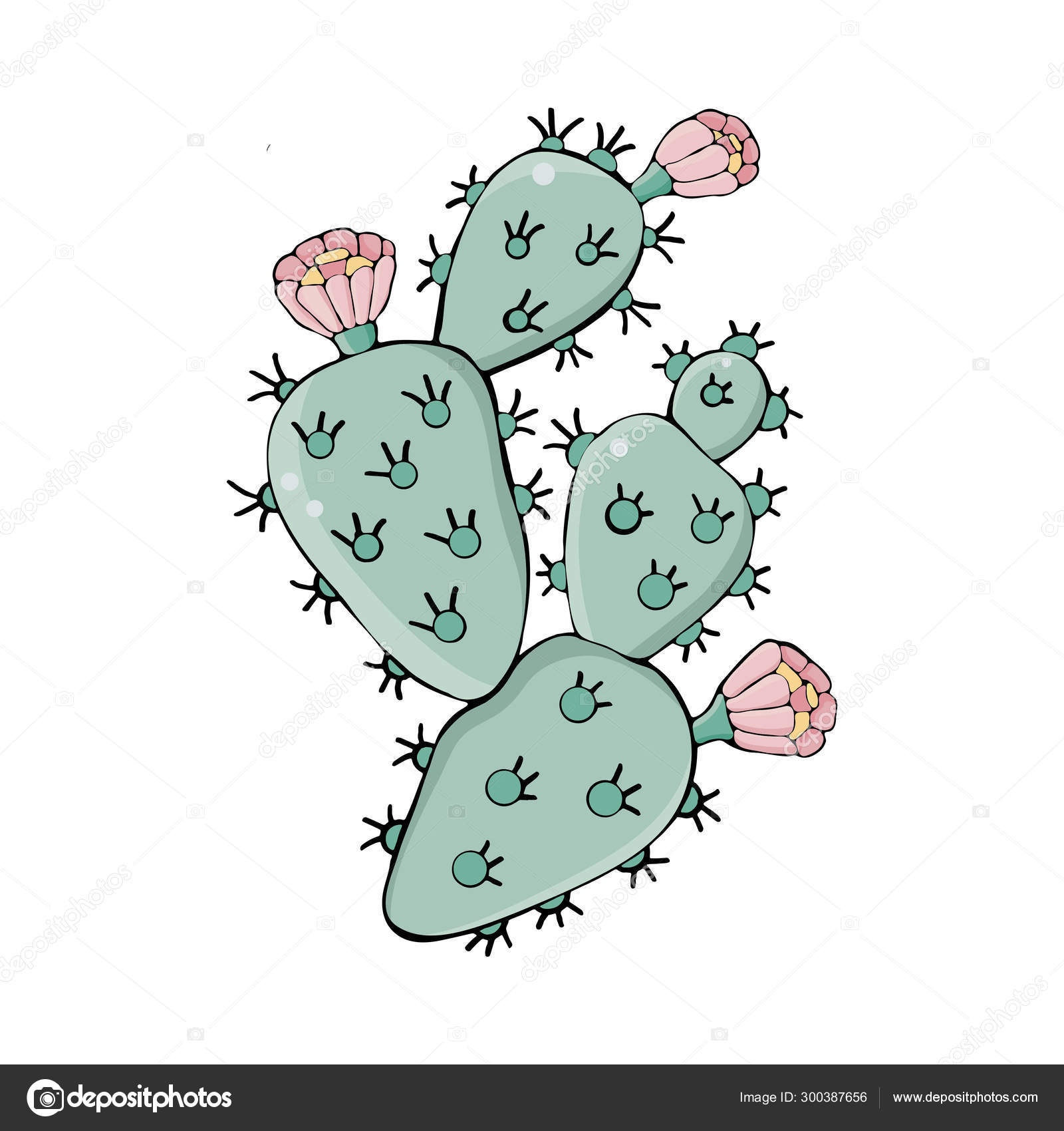 Cactus with pink flowers in vector. Opuntia. Hand drawn illustration ...