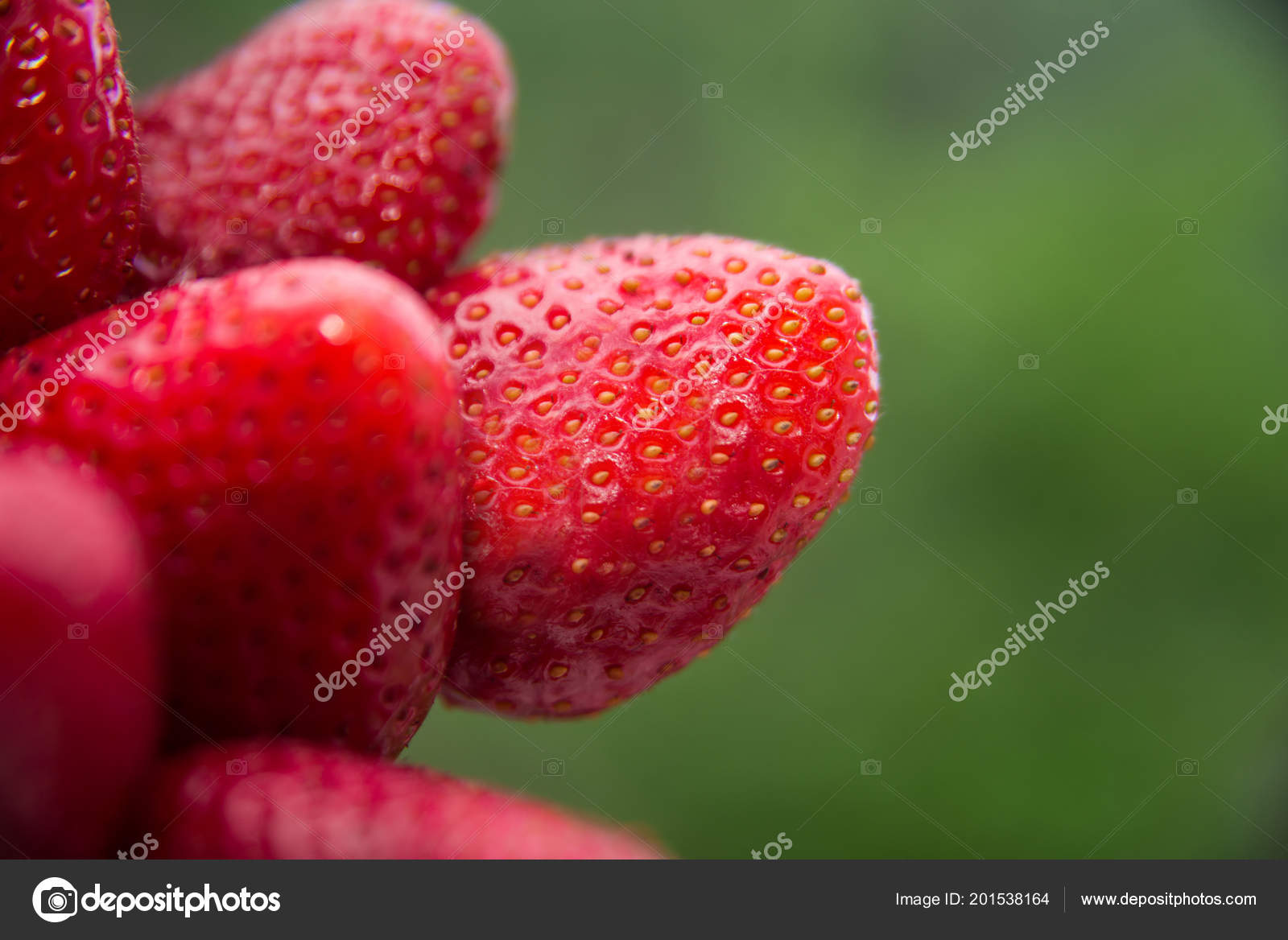 Big Ripe Strawberry Close Other Berries Blurred Green Background ...