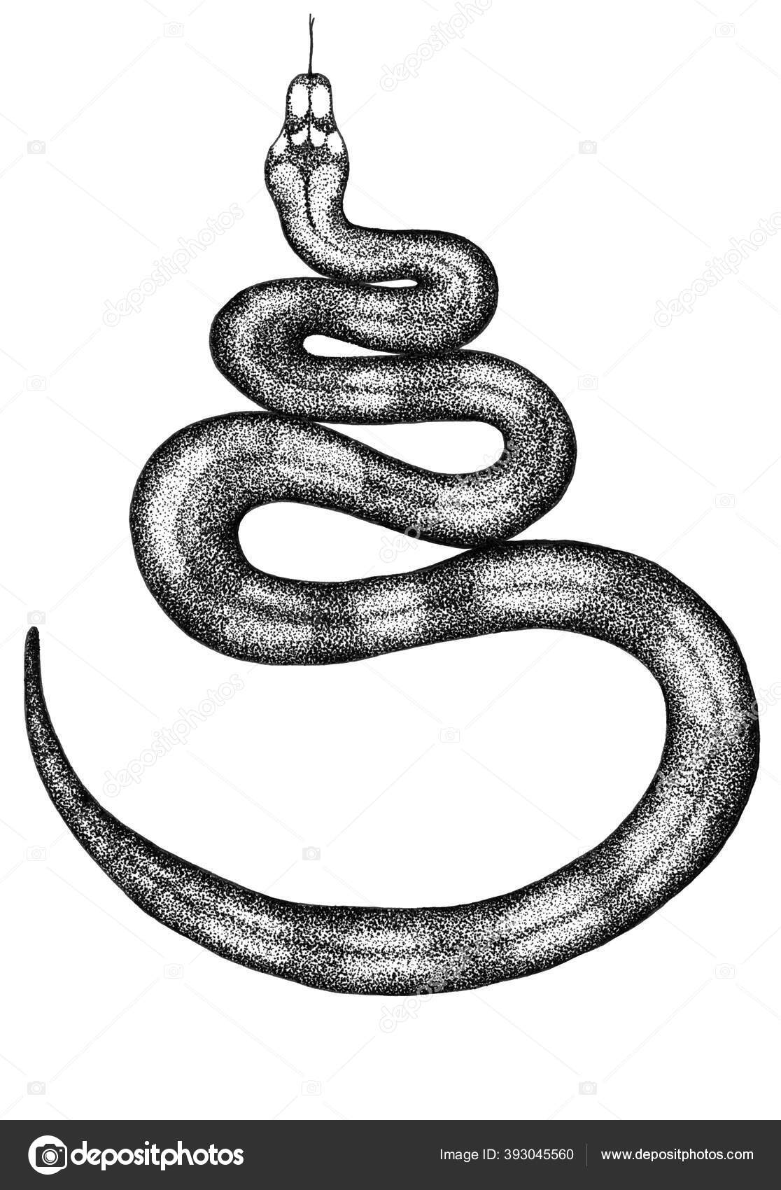 Ink snake on a white monocrome Stock Illustration by ©My_art_bar #393045560