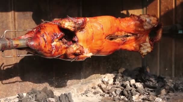 Spit Roast BBQ — Stock Video © Baloncici #166488900