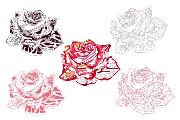 Rose Graphic Design Styles White Backgroun Stock Vector by ©amsure7 ...