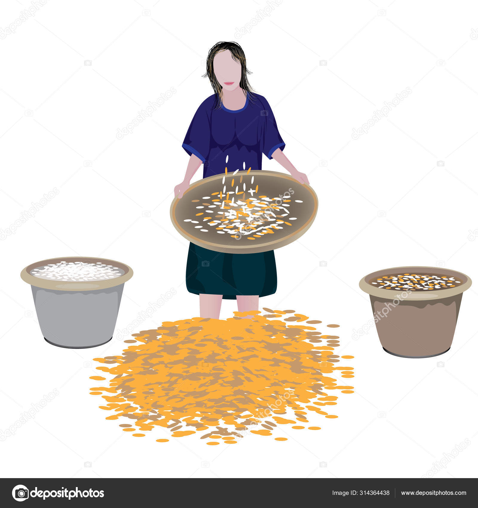 Asian Woman Winnowing Rice Vector Design Stock Vector Image by ...