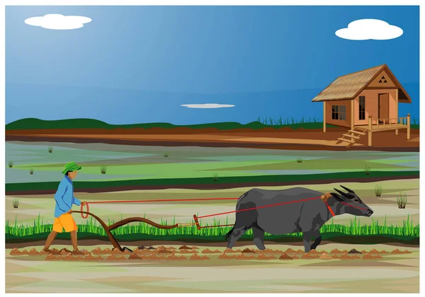 Indian farmer Vector Images | Depositphotos