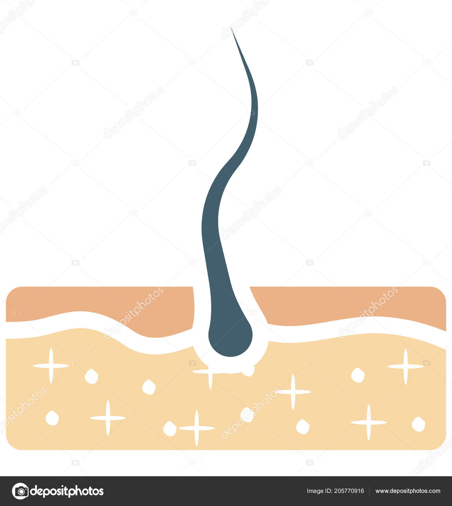 Hair Roots Color Color Isolated Vector Icon Fully Editable Stock Vector ...