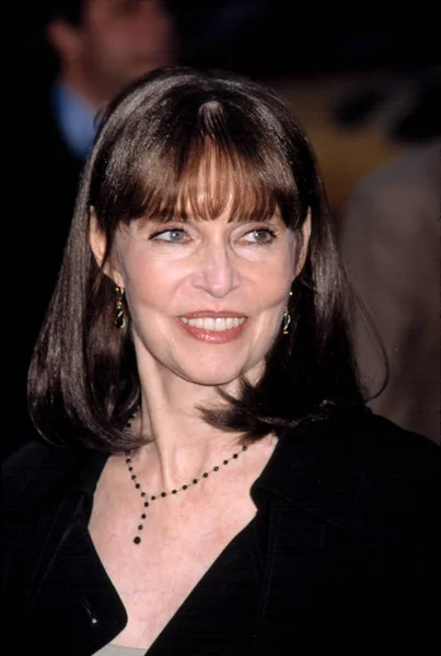 Jan smithers Stock Photos, Royalty Free Jan smithers Images | Depositphotos