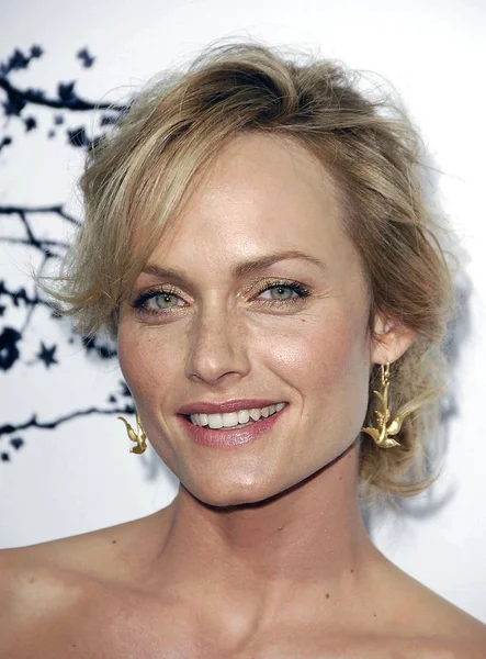 Amber valletta images libres de droit, photos de Amber valletta ...