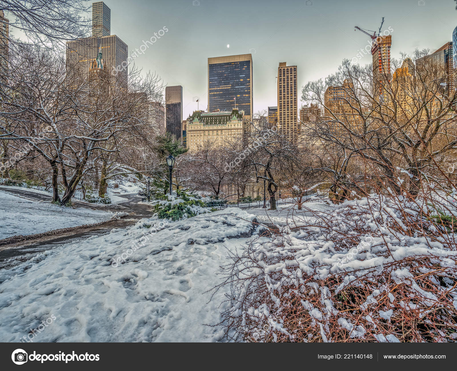 Central Park Manhattan New York City Winter Snow Storm — Stock Photo © johnanderson #221140148