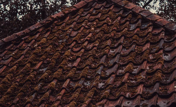 Rotten roof Stock Photos, Royalty Free Rotten roof Images | Depositphotos