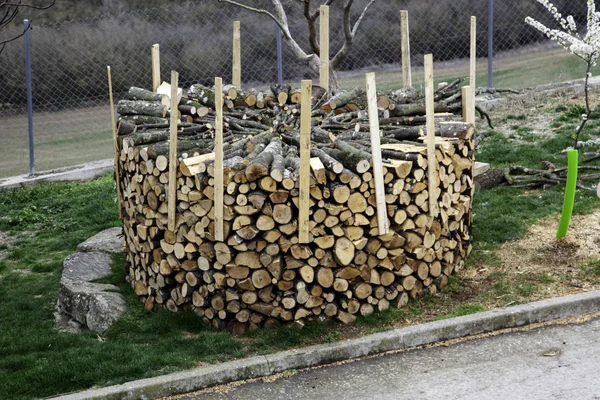 Stacked wood logs - Stock Image - Everypixel