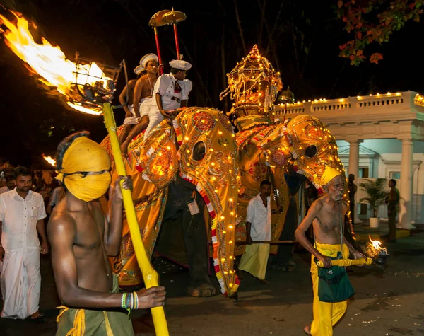 Kandy parade Pictures, Kandy parade Stock Photos & Images | Depositphotos®