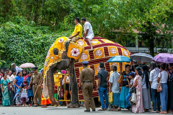 Kandy parade Pictures, Kandy parade Stock Photos & Images | Depositphotos®