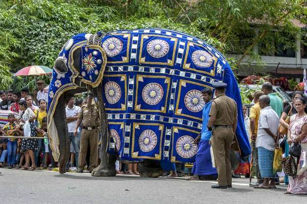 Kandy parade Pictures, Kandy parade Stock Photos & Images | Depositphotos®
