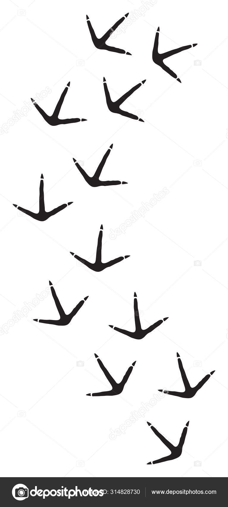 Bird Footprints Clip Art