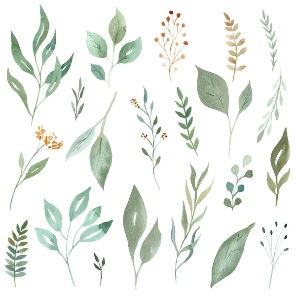 Watercolor greenery Stock Photos, Royalty Free Watercolor greenery ...