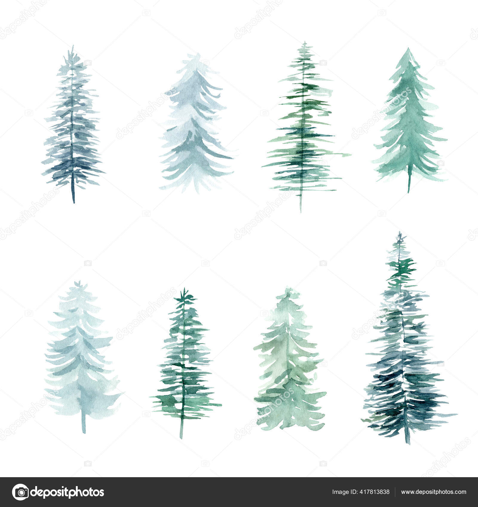 Winter Pine Trees Drawing