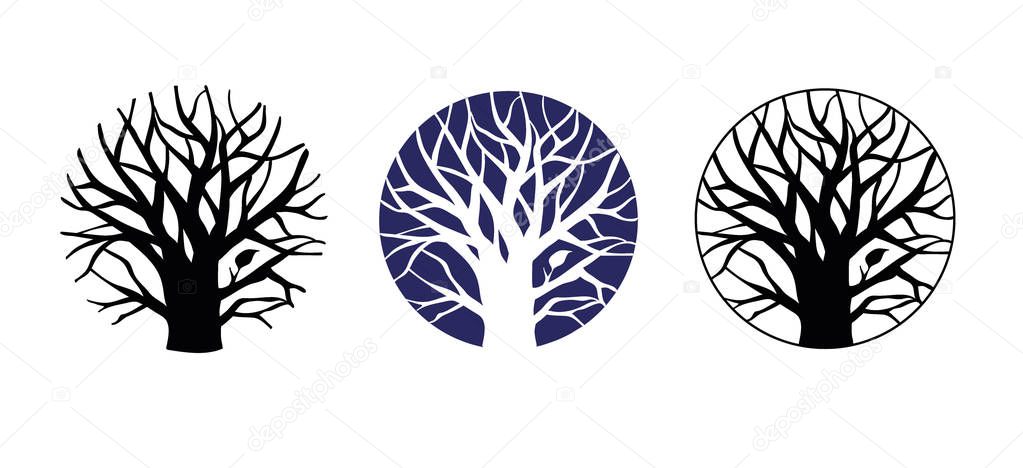 Ilustraci n vectorial colorida de plantillas de logotipo de rbol 2024