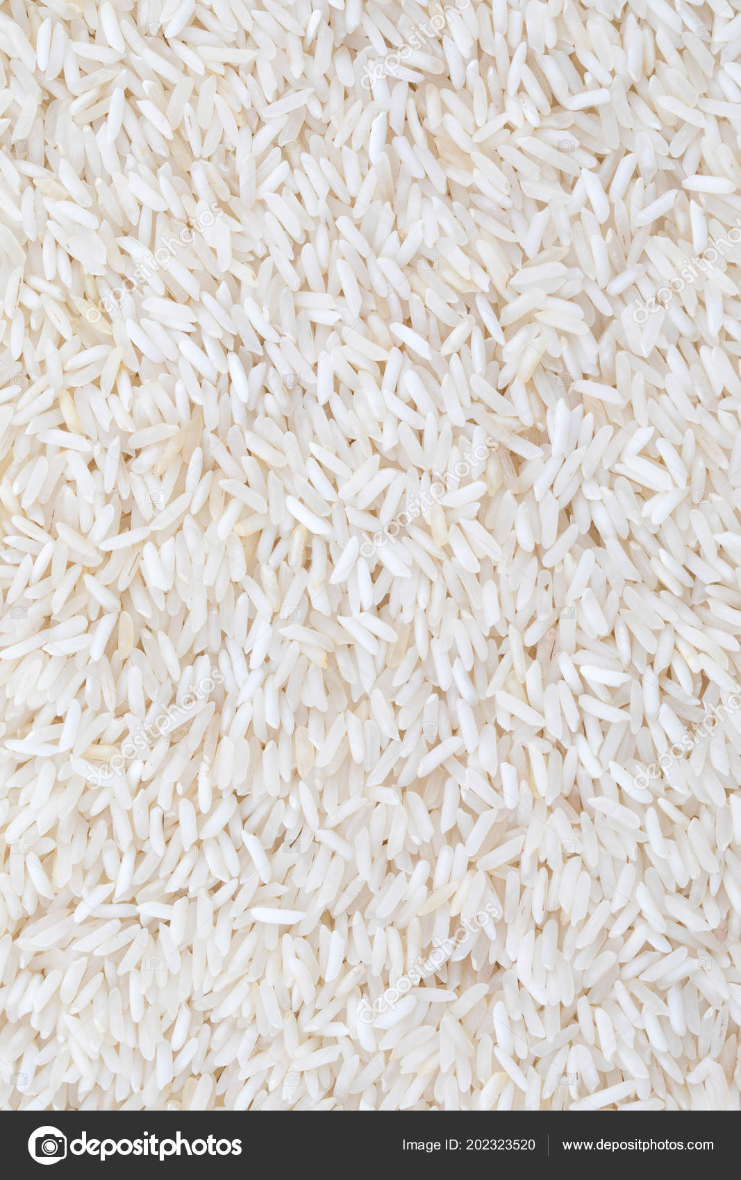Healthy Fresh Raw Rice Also Know Basmati Rice Indian Chawal Stock Photo ...