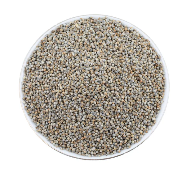 Pearl Millet Seeds Also Know Bajra Bajri Bulrush Millet Indian Stock ...