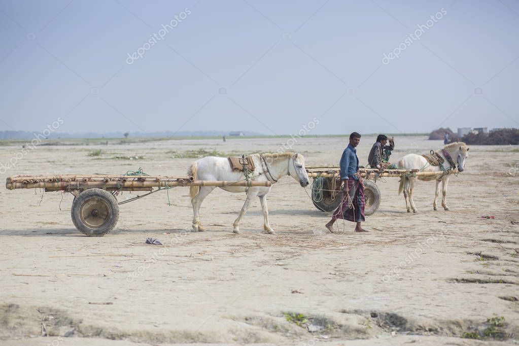 Bangladesh - 01 de marzo de 2019: Un vagón a caballo de carga cargando ...