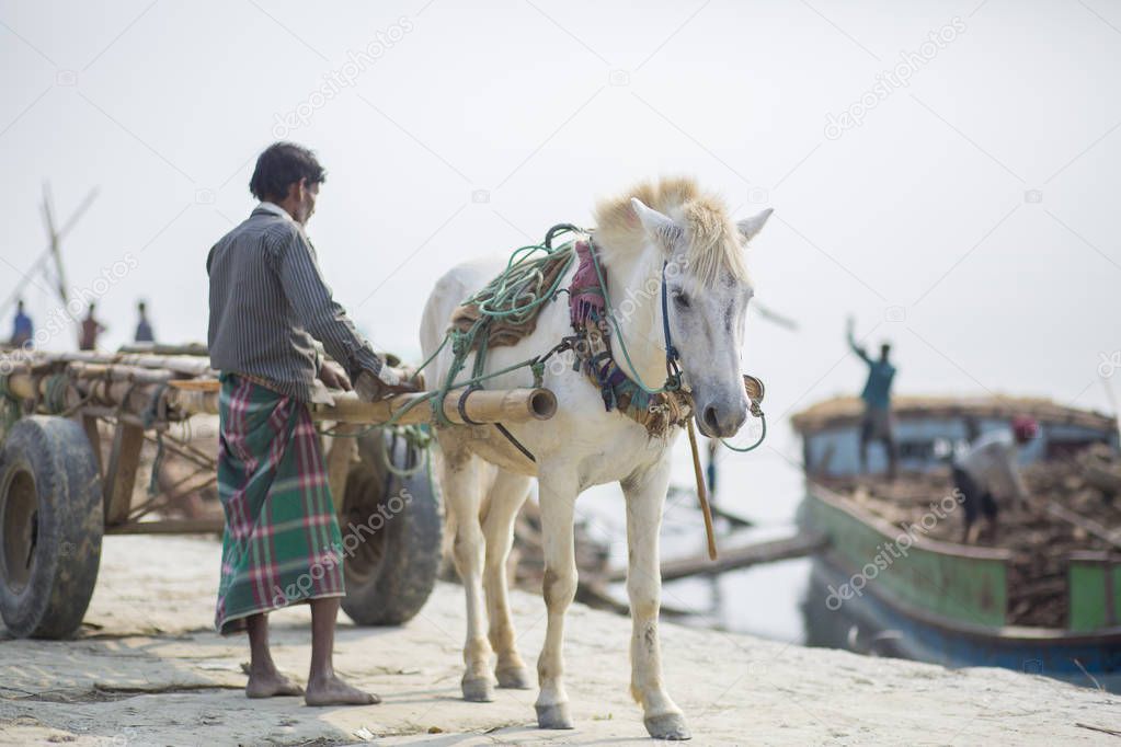 Bangladesh - 01 de marzo de 2019: Un vagón a caballo de carga cargando ...
