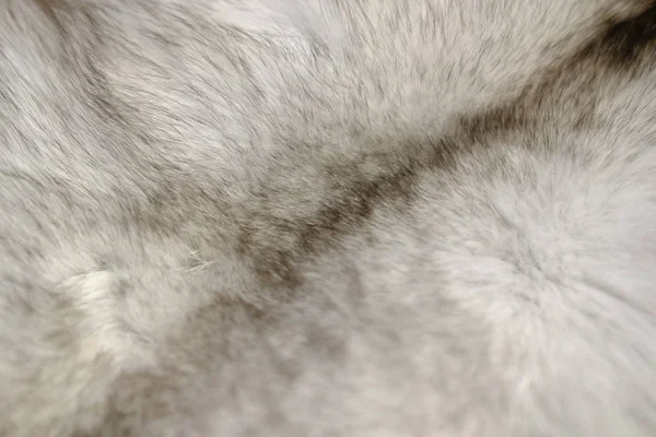 Natural mink fur for sewing fur coats - Stock Image - Everypixel