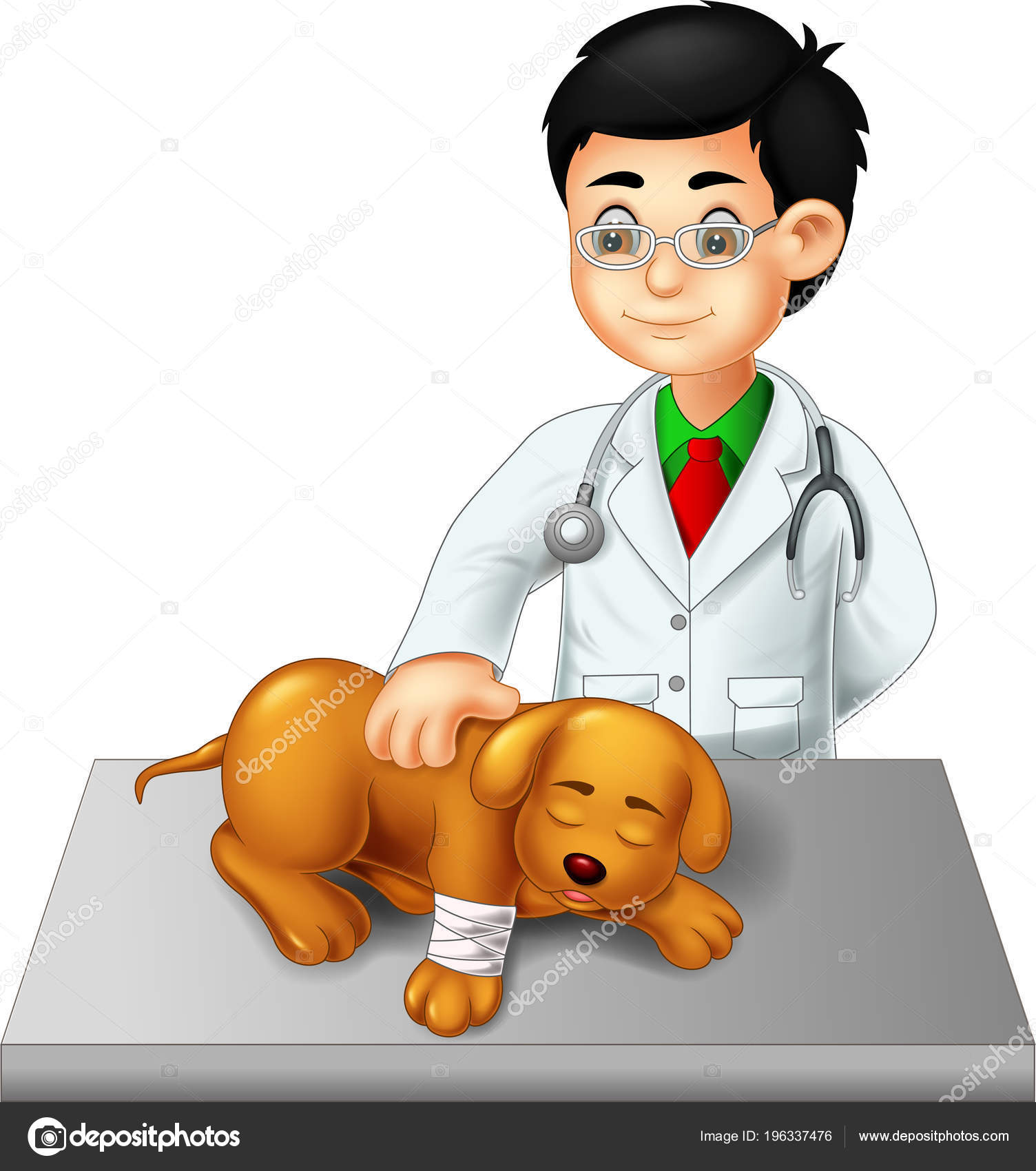 Guapo Veterinario Dibujos Animados Pie Perro Control Con Sonrisa Vector ...